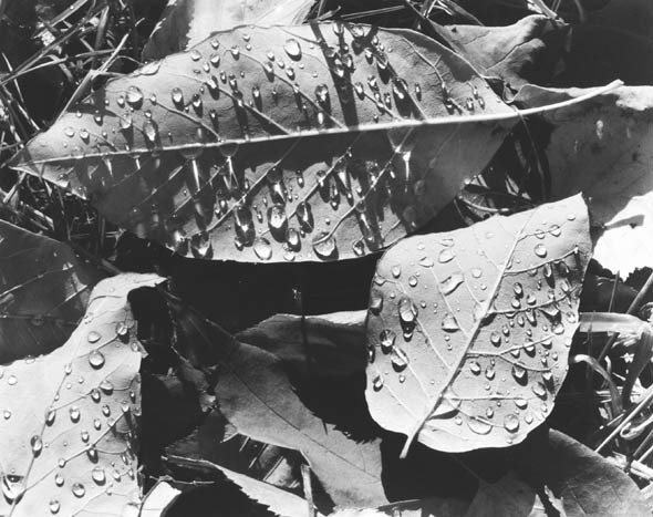 Charles Pratt - 3 Artworks, Bio & Shows on Artsy