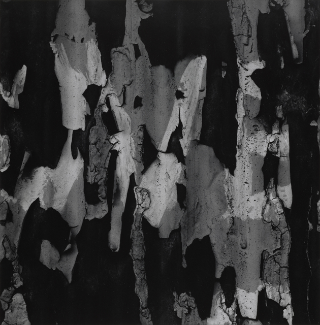 Aaron Siskind - A Painter's Photographer | Galerie Julian Sander | Artsy