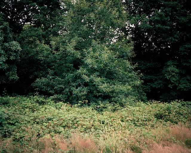 Thomas Wynne - 4 Artworks, Bio & Shows on Artsy