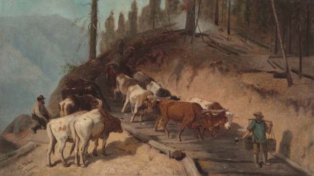 William Hahn - 1 Artwork, Bio & Shows on Artsy