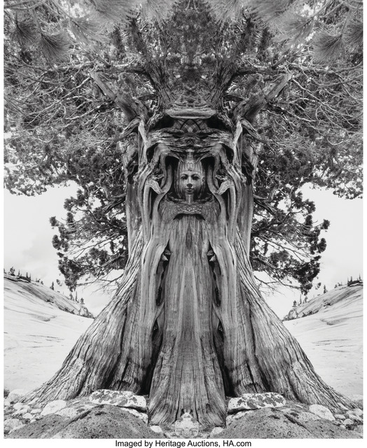 Jerry Uelsmann | Untitled (Tree Goddess) (1994) | Artsy