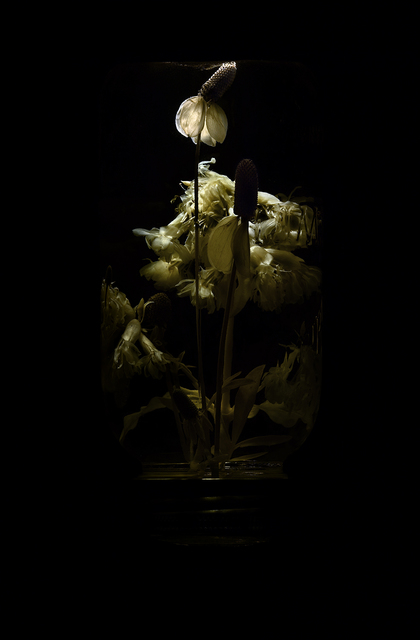 Laura St. Pierre - 15 Artworks, Bio & Shows on Artsy