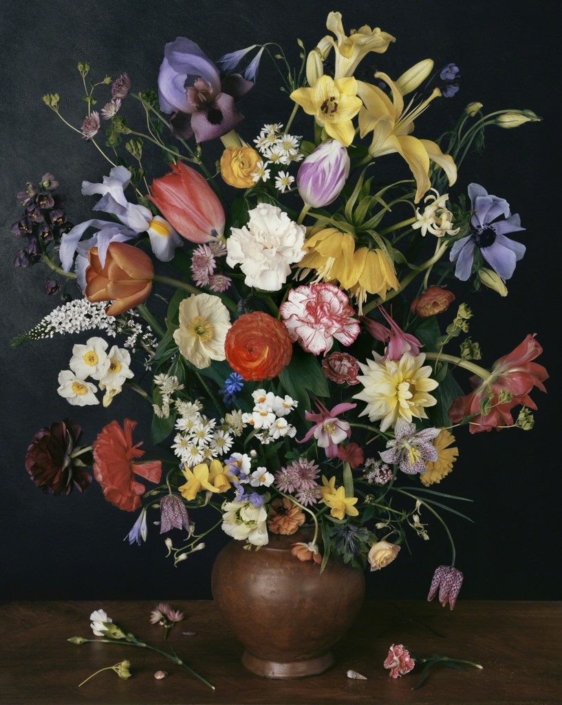 Sharon Core | 1634 (2011) | Available for Sale | Artsy