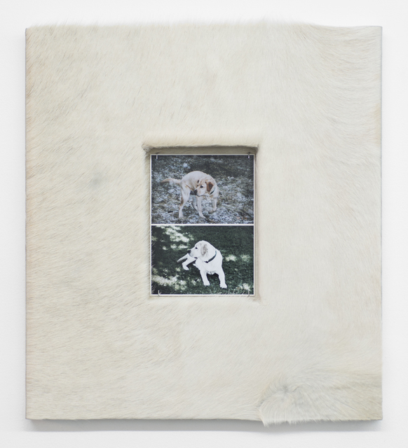 Em Rooney - 22 Artworks, Bio & Shows on Artsy