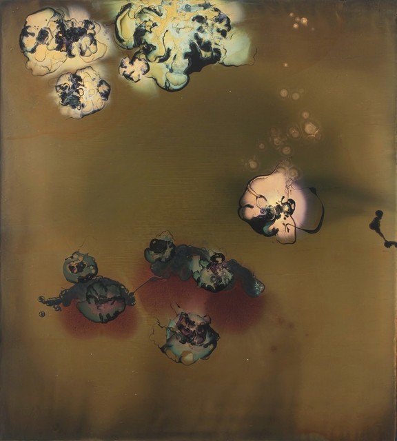 Terry Rose "USA>China>Mexico 2007-2016" | Artsy