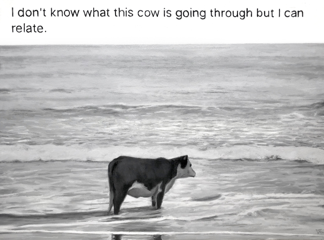 Dan Bina | Unapologetic: Meme No.14 (2019) | Available for Sale | Artsy