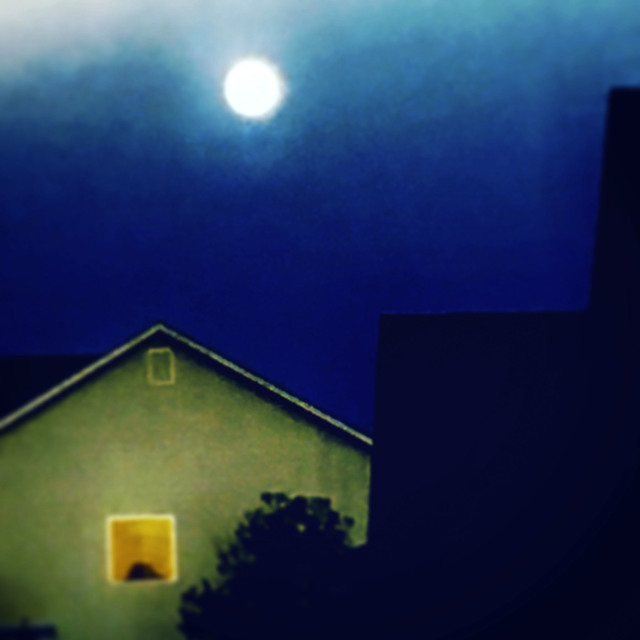 Nancer Lemoins - 5 Artworks, Bio & Shows on Artsy