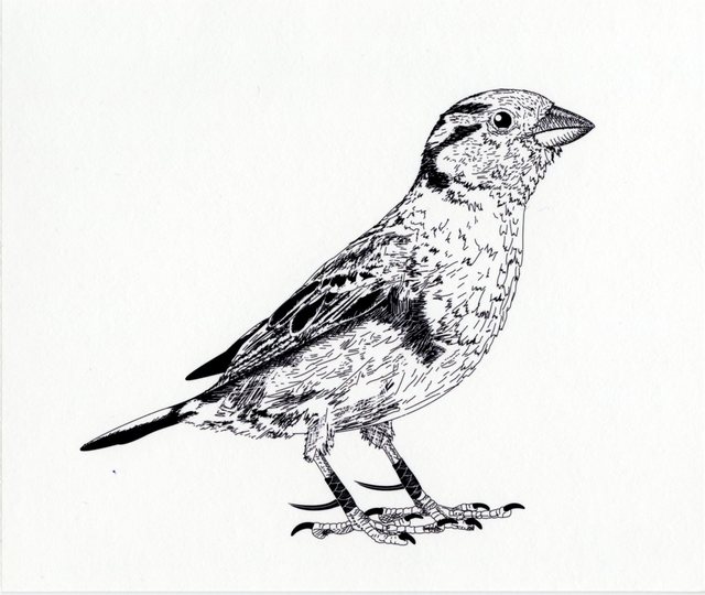 Eric McDade - 1 Artwork, Bio & Shows on Artsy