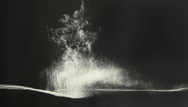 Tracy Hill - 2 Artworks, Bio & Shows on Artsy