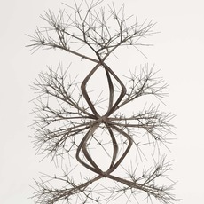 Ruth Asawa - 26 Artworks, Bio & Shows on Artsy