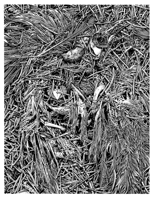 Aaron Horkey - 8 Artworks, Bio & Shows on Artsy