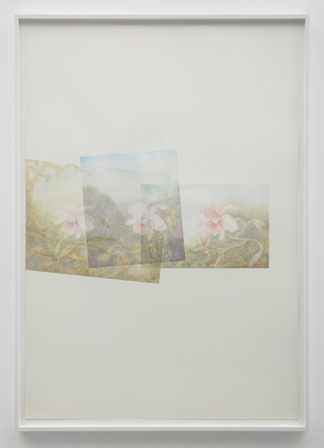 Marc Handelman | Close-up, No People, Scenics (2014) | Available for ...
