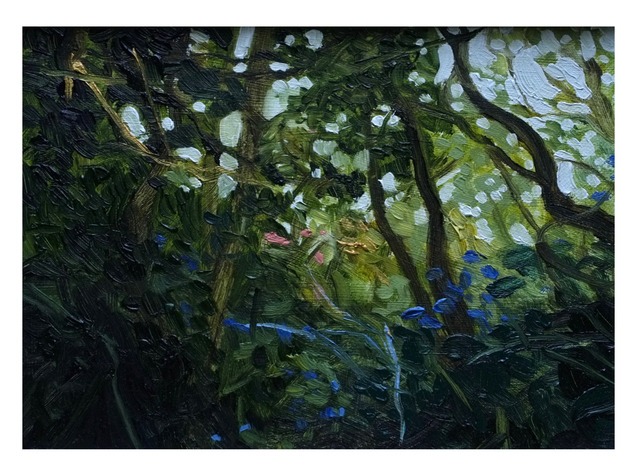 Grounded | Daniel Raphael | Artsy