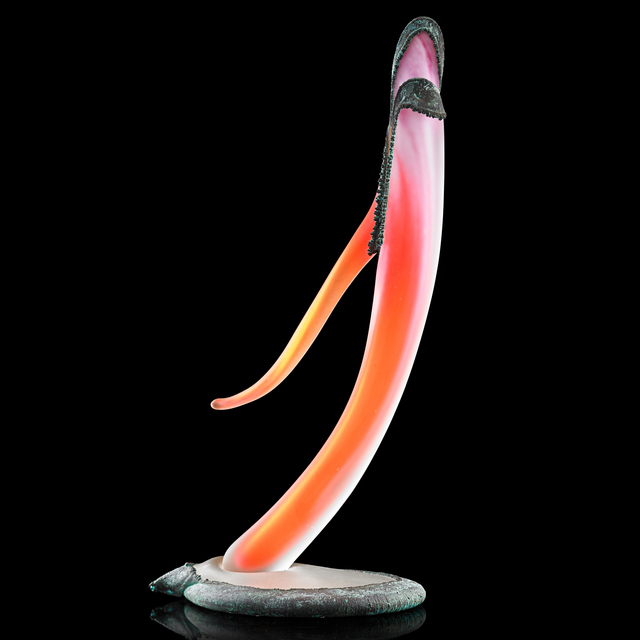 Stephen Dee Edwards | Large sculpture from the Physalia series ...