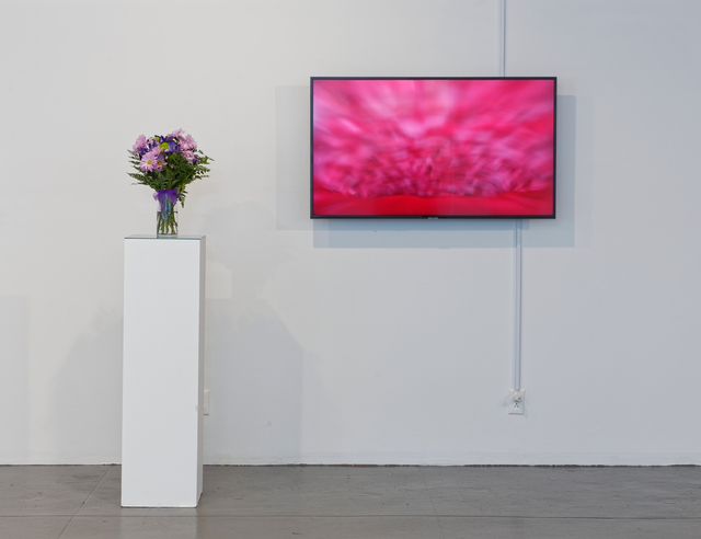 Caroline Key - 1 Artwork, Bio & Shows on Artsy