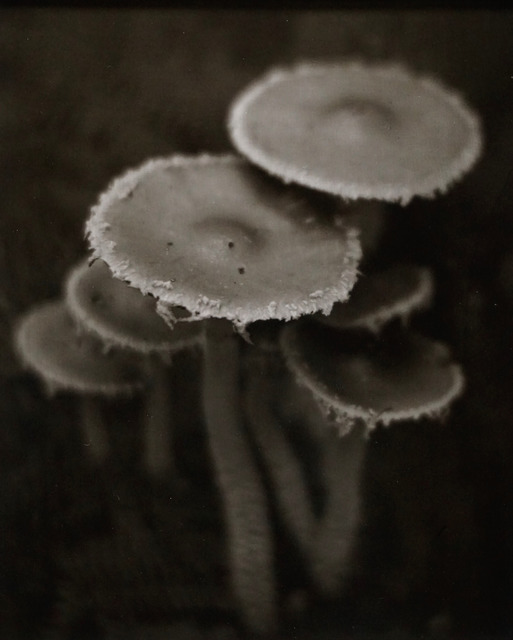 Jim Fitzgerald - 28 Artworks, Bio & Shows on Artsy