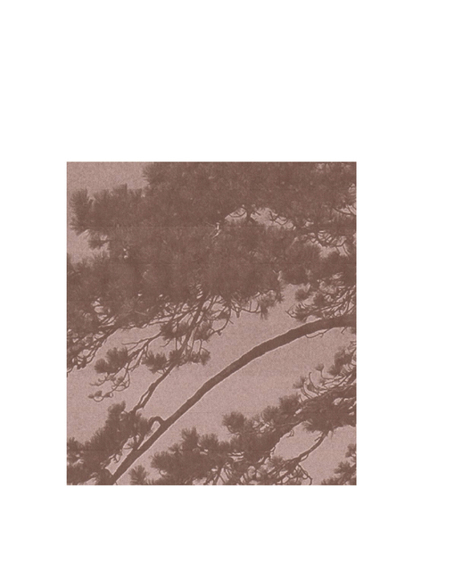 Elsa Money - 4 Artworks, Bio & Shows on Artsy