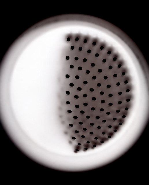 Sally Apfelbaum - 4 Artworks, Bio & Shows on Artsy