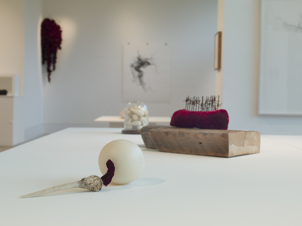 Susie MacMurray: Murmur | Pangolin London | Artsy