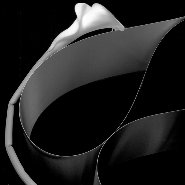 Jan Gordon - 8 Artworks, Bio & Shows on Artsy