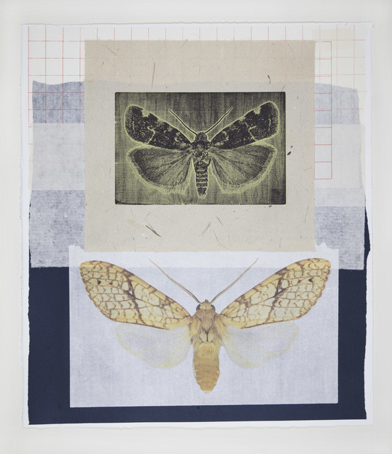 Joseph Scheer | Yellow Tiger and Micro Moth (2019) | Available for Sale ...