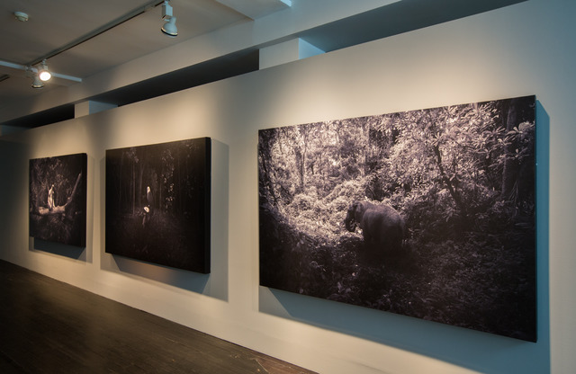 Robert Zhao Renhui - 52 Artworks, Bio & Shows on Artsy