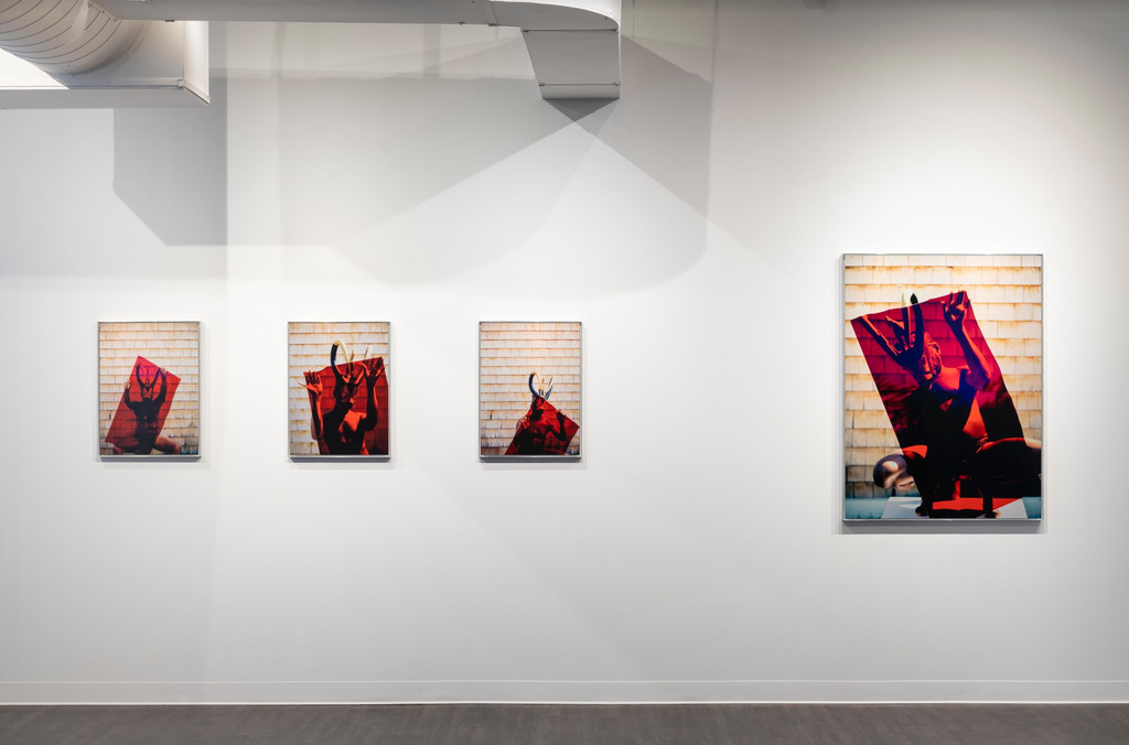 Lyle Ashton Harris: Flash of the Spirit | Nancy Littlejohn Fine Art | Artsy