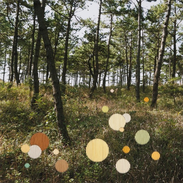 JinHee Kim - 1 Artwork, Bio & Shows on Artsy