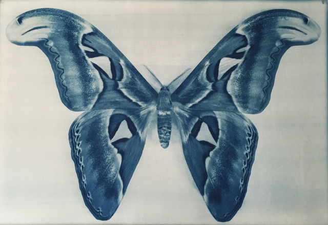 Thomas Hager - 36 Artworks, Bio & Shows on Artsy