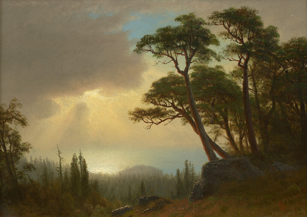 German Artists - For Sale on Artsy