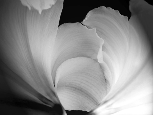 Joy Moore - 1 Artwork, Bio & Shows on Artsy