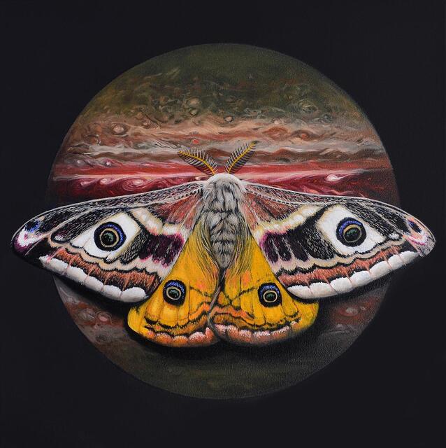 Rita Stern (b.1982) - 10 Artworks, Bio & Shows on Artsy