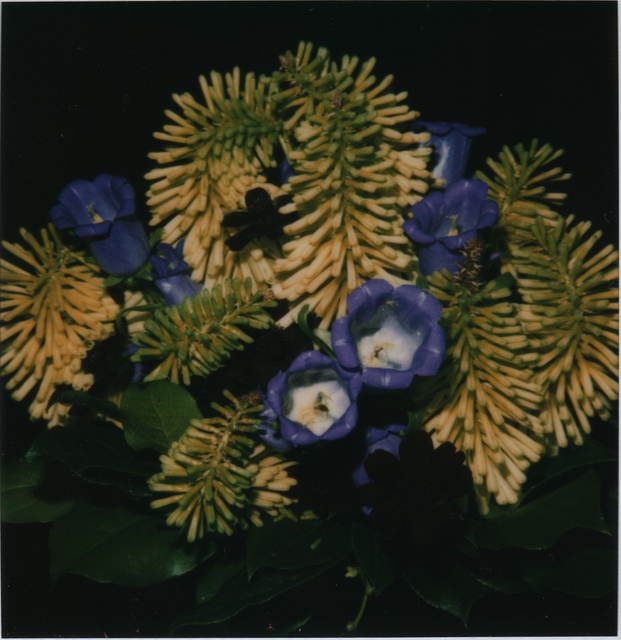 Nobuyoshi Araki | Flower (2006-2009) | Available for Sale | Artsy