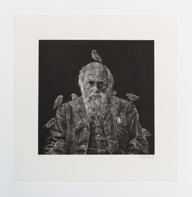 Trevor Foster - 48 Artworks, Bio & Shows on Artsy