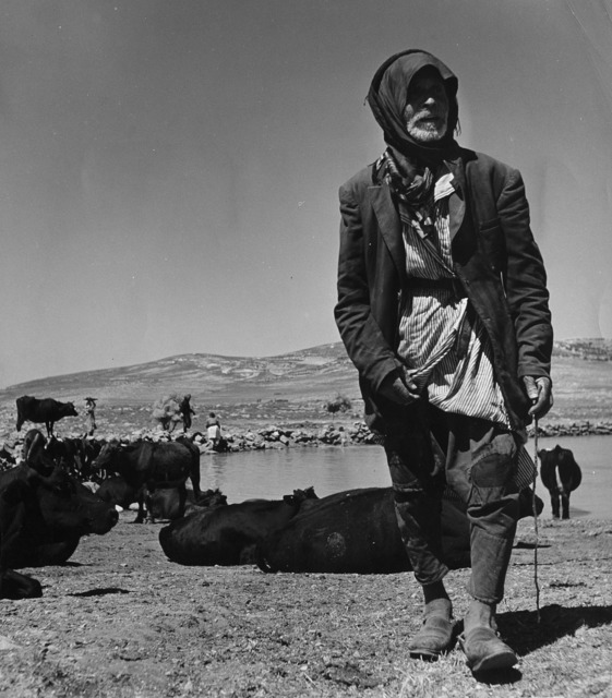 Robert Capa | Israel, the old life and Druses (1948-1950) | Artsy