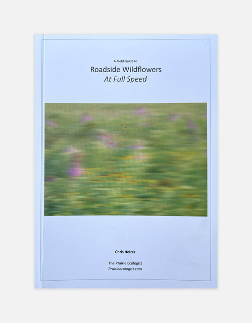 Chris Helzer - 4 Artworks, Bio & Shows on Artsy