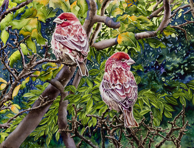 Carol Dawson - 70 Artworks, Bio & Shows on Artsy