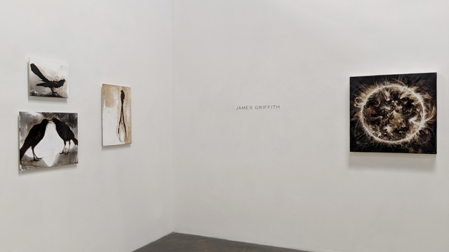 James Griffith | Bird (2019) | Artsy