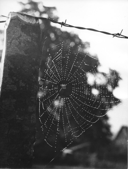 Robert Manson - 3 Artworks, Bio & Shows on Artsy