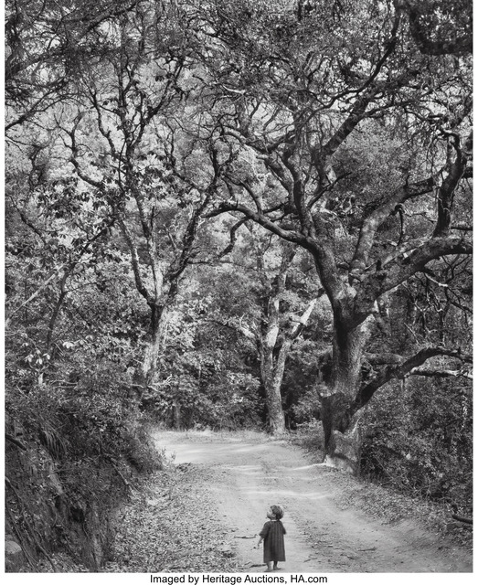 Wynn Bullock | Photographs (twelve photographs) (1951-1973) | Artsy