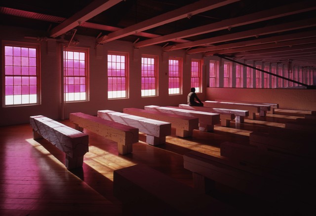 Ann Hamilton: corpus | Artsy