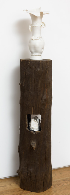 BEN BUSWELL | MINEO MIZUNO | Iris Project | Artsy