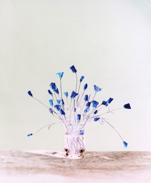 Brendan Barry - 7 Artworks, Bio & Shows on Artsy