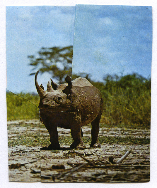 Ruth van Beek - 2 Artworks, Bio & Shows on Artsy