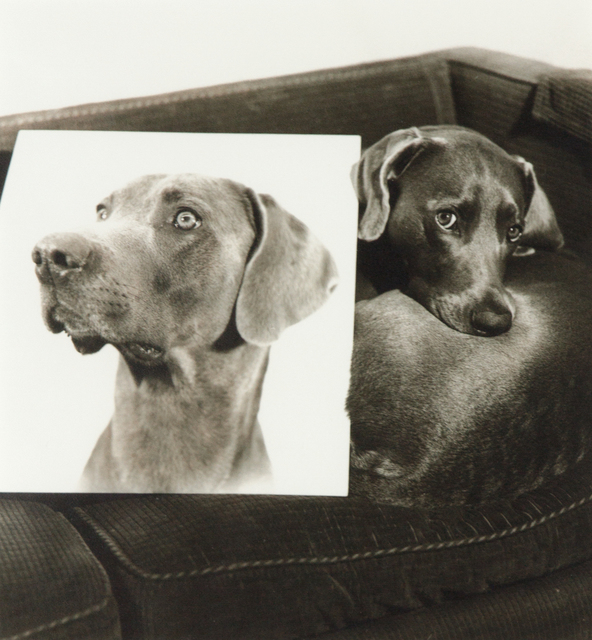 William Wegman | Double Portrait (From Man Ray: A portfolio of 10 ...