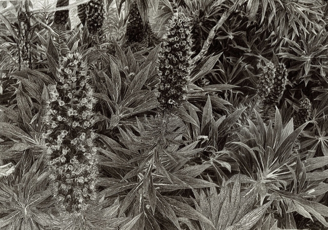 Rowan Pope - 8 Artworks, Bio & Shows on Artsy