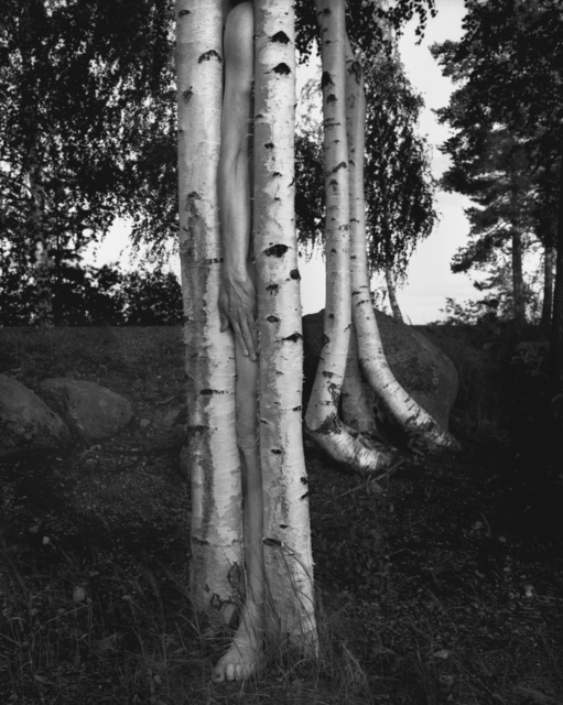 Arno Rafael Minkkinen - 93 Artworks, Bio & Shows on Artsy