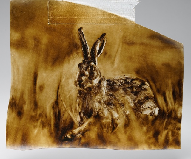 Sebastian Maas - 8 Artworks, Bio & Shows on Artsy