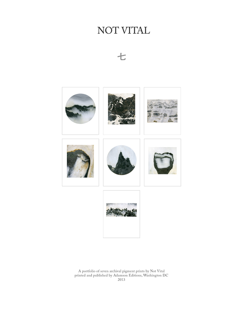 Not Vital - 121 Artworks, Bio & Shows on Artsy