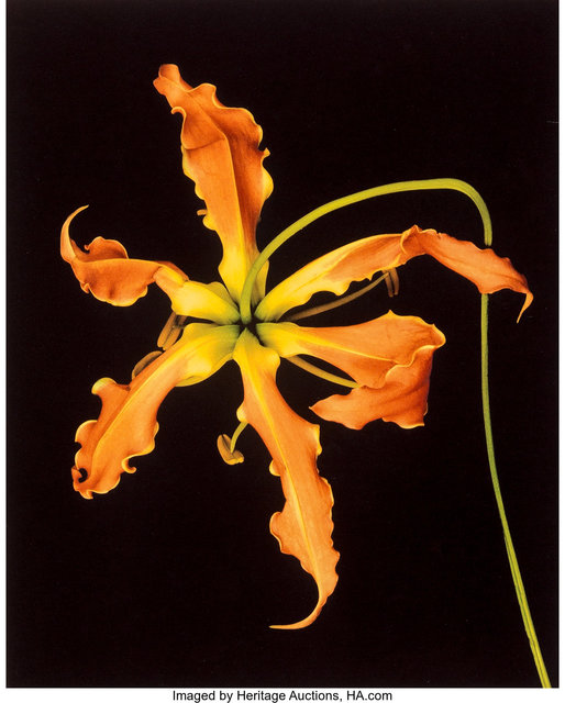 Jonathan Singer | Iris (2008) | Artsy